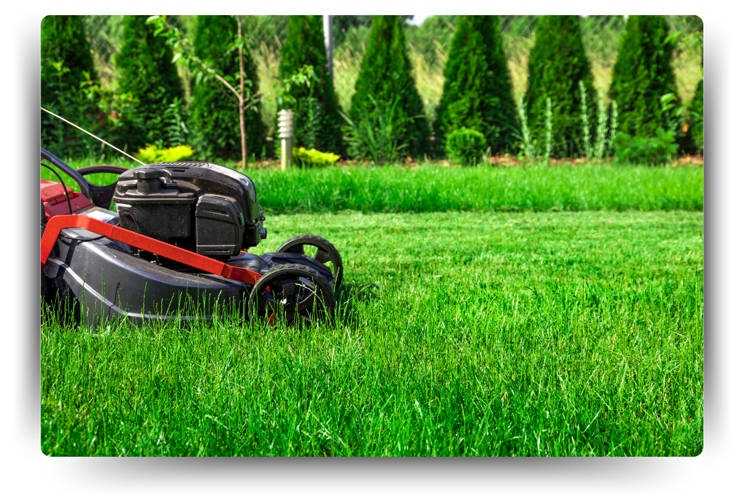 Top Lawn Mowing & Maintenance Tips for a Healthier Yard | Lawn ...