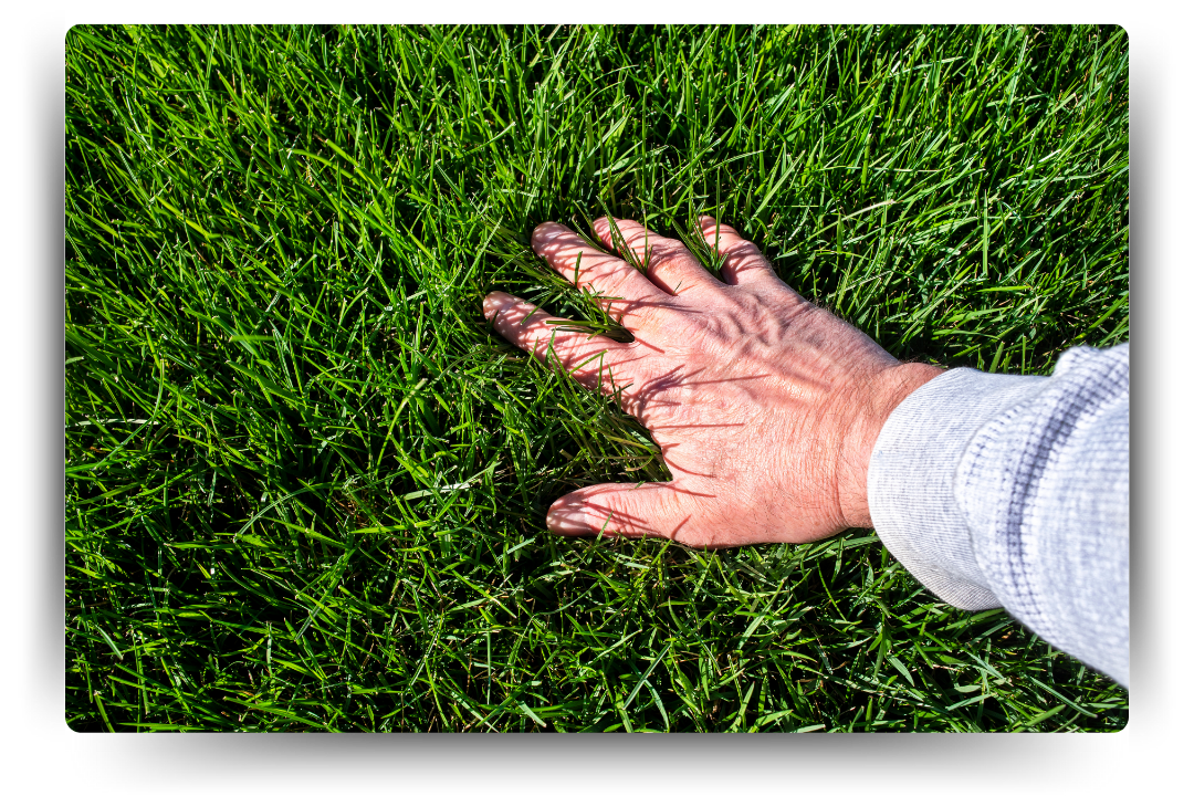 Old Fuel Can Be Hard On Lawn Mowers | Lawn & Sprinkler Guys